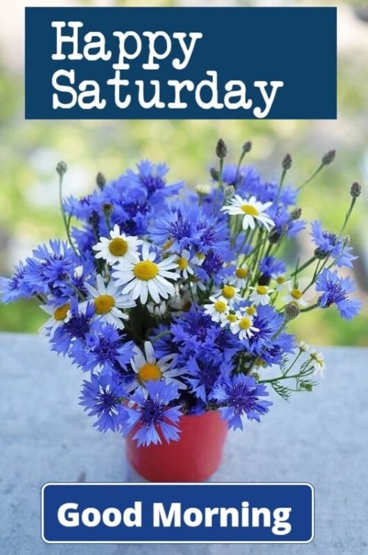 Good Morning Wishes Saturday Images - Good Morning Pictures