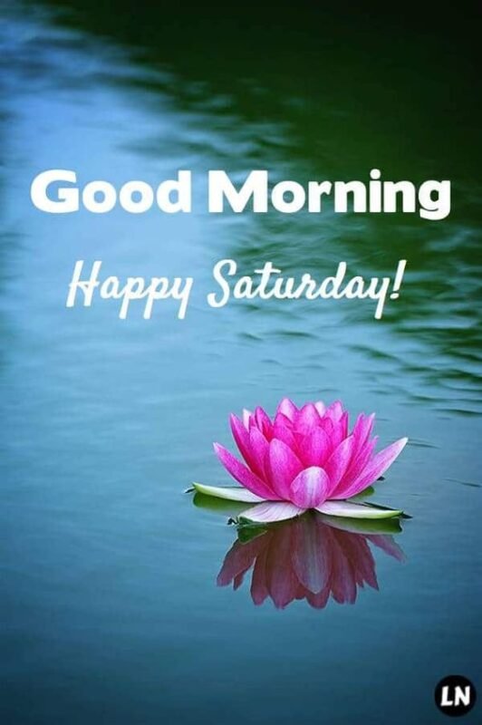 Good Morning Wishes Saturday Images - Good Morning Pictures