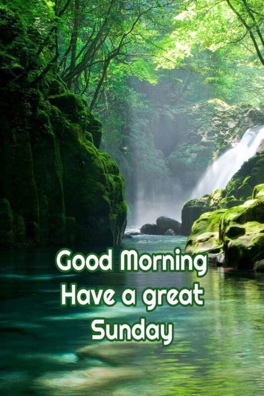 Good Morning Wishes Sunday Images - Good Morning Pictures