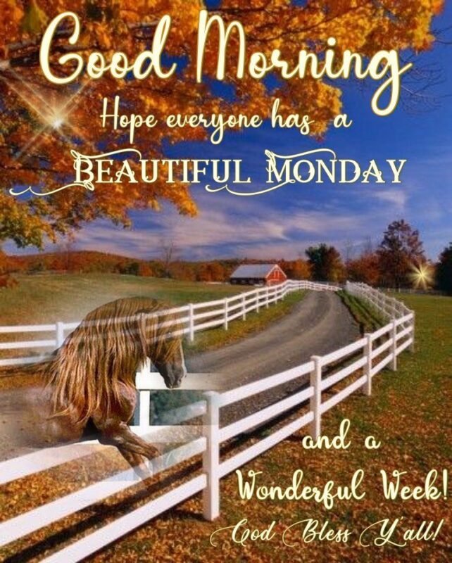 Good Morning Wishes Monday Images - Good Morning Pictures