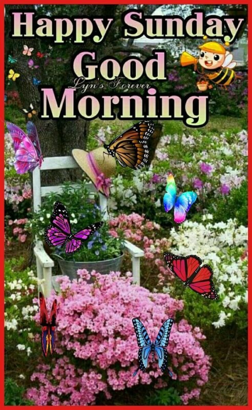 Good Morning Wishes Sunday Images - Good Morning Pictures