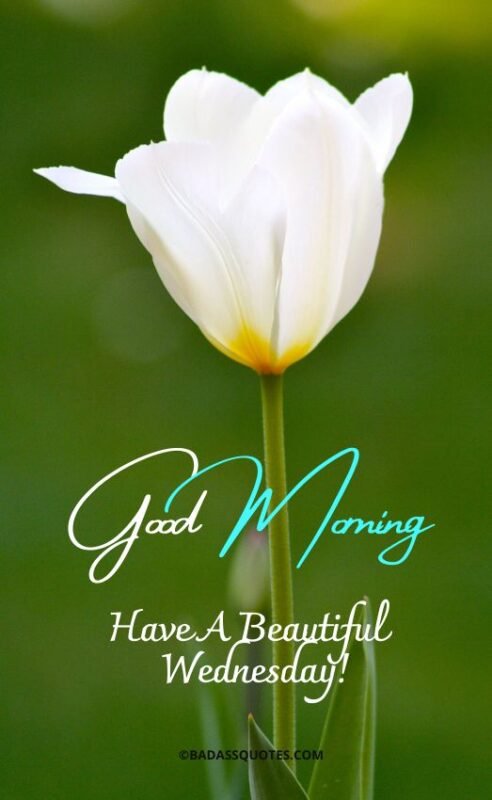 Good Morning Wishes Wednesday Images - Good Morning Pictures