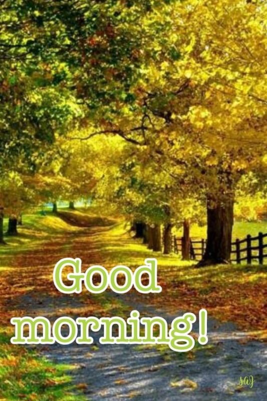 Seasons Good Morning Wishes Images - Good Morning Pictures