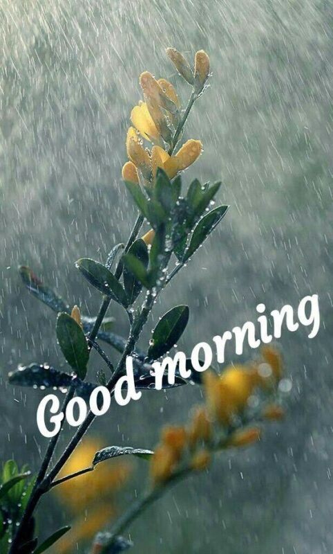 Seasons Good Morning Wishes Images - Good Morning Pictures