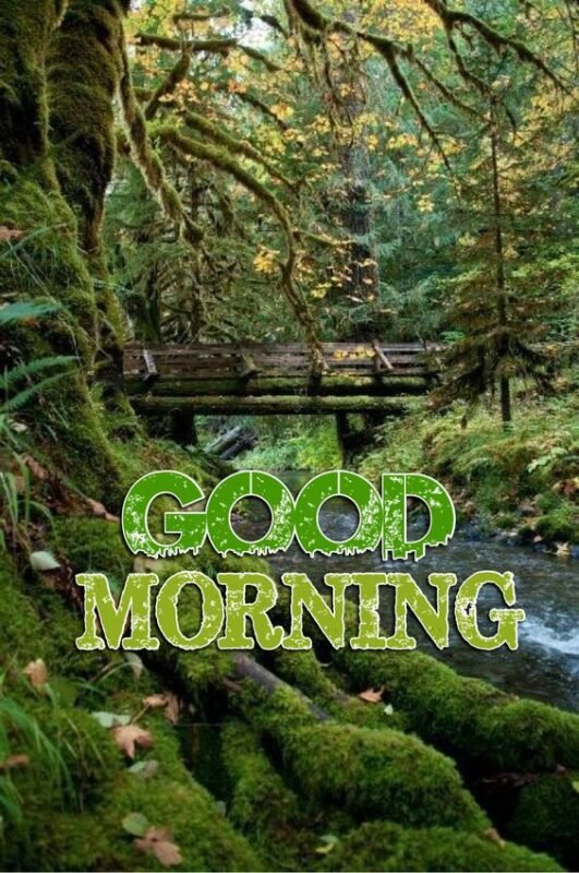 Good Morning Wishes Nature Images - Good Morning Pictures