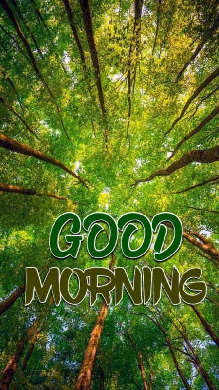 Good Morning Wishes Nature Images - Good Morning Pictures