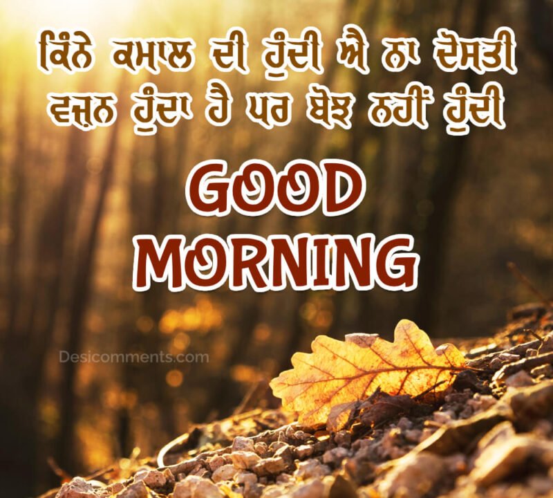 60+ Good Morning Punjabi Images & Wishes - Good Morning Pictures