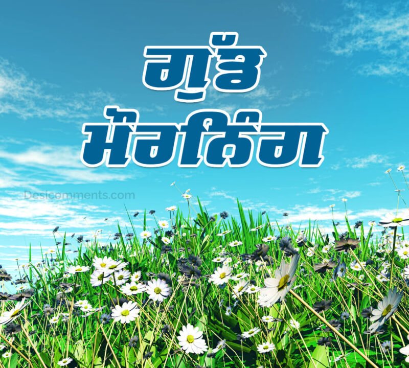 60+ Good Morning Punjabi Images & Wishes - Good Morning Pictures