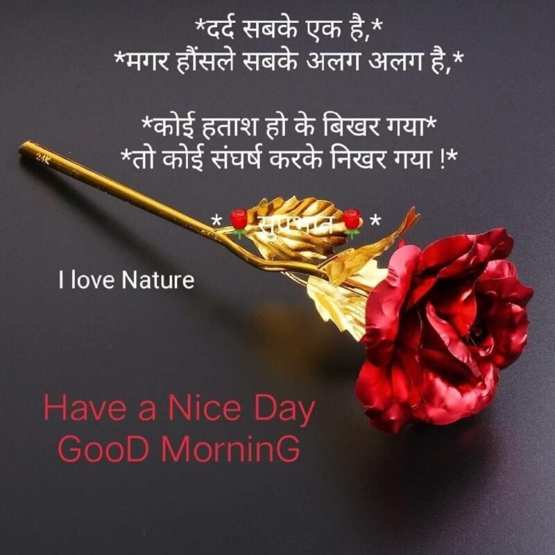 110+ Good Morning Hindi Images & Wishes - Good Morning Pictures