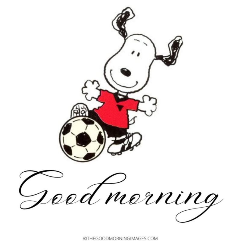 Good Morning Snoopy Images - Good Morning Pictures