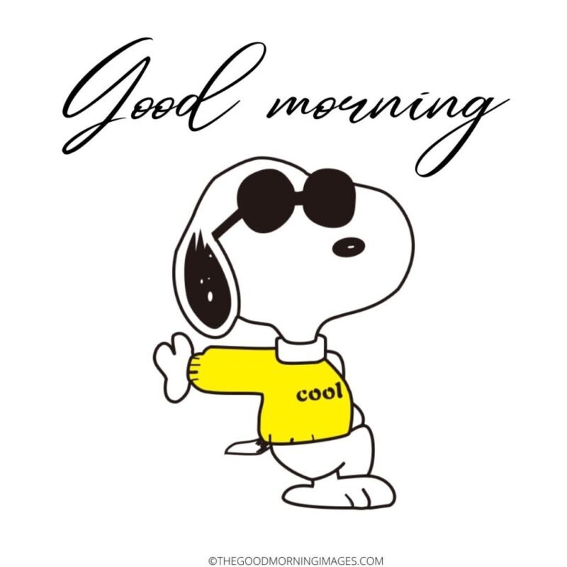 Good Morning Snoopy Images - Good Morning Pictures