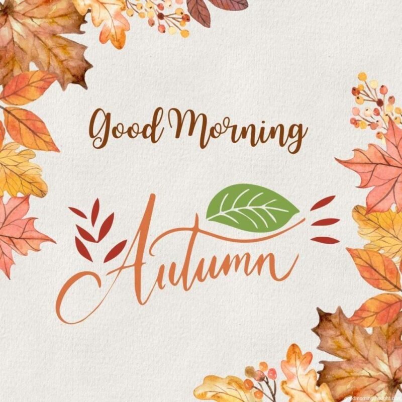 Good Morning Autumn Images & GIFs - Good Morning Pictures