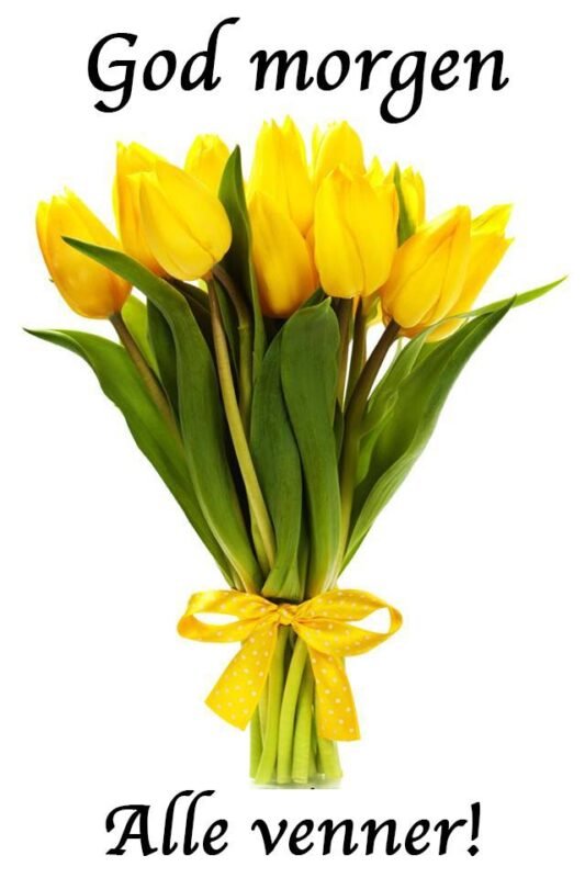 70+ Good Morning Norwegian Greetings at Sunrise Images Gif’s & Wishes ...