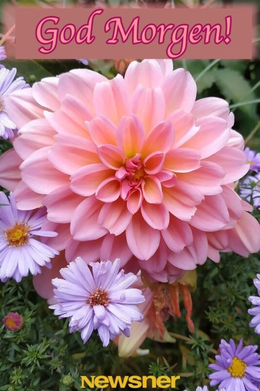 70+ Good Morning Norwegian Greetings at Sunrise Images Gif’s & Wishes ...
