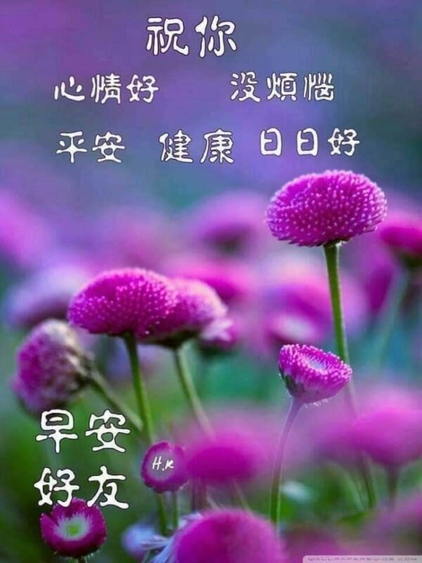 70+ Good Morning Chinese Images & Wishes - Good Morning Pictures