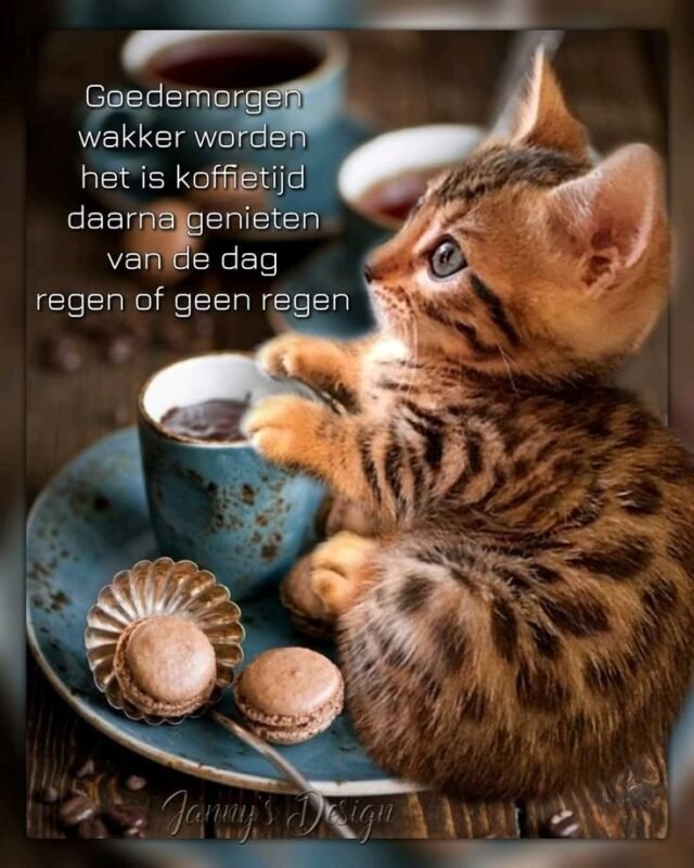 50+ Good Morning Dutch Images & Wishes - Good Morning Pictures