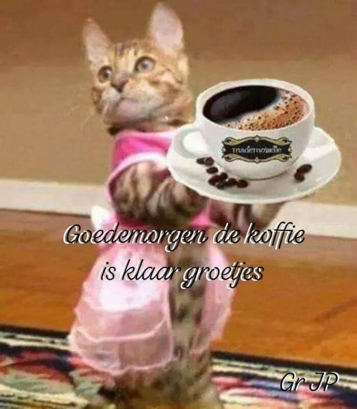 50+ Good Morning Dutch Images & Wishes - Good Morning Pictures