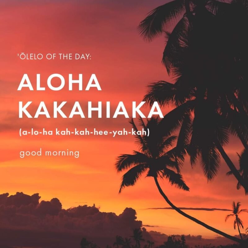 10+ Good Morning Hawaiian Images - Good Morning Pictures