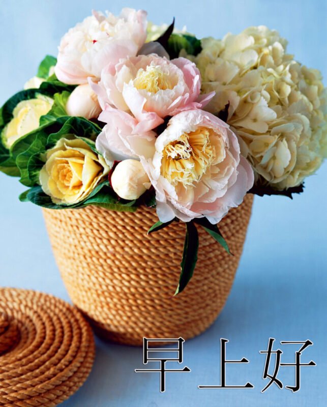 70+ Good Morning Chinese Images & Wishes - Good Morning Pictures