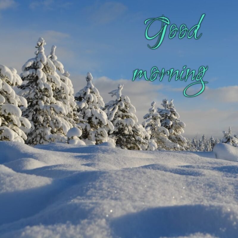 40+ Good Morning Winter Images - Good Morning Pictures