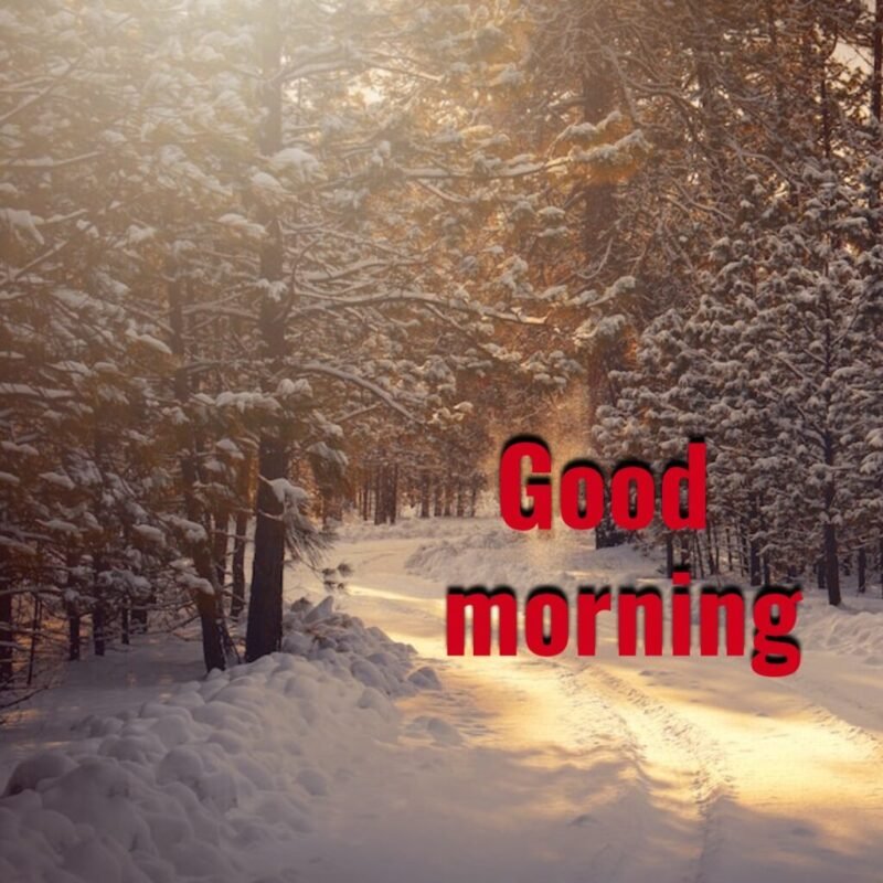 40+ Good Morning Winter Images - Good Morning Pictures