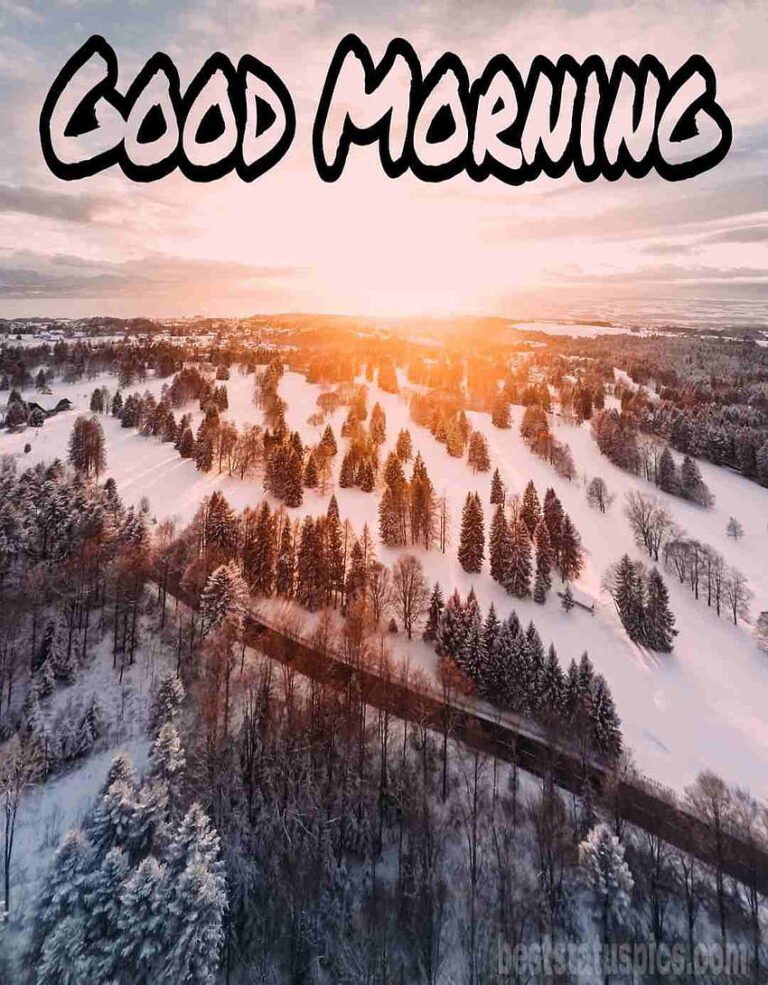 40+ Good Morning Winter Images - Good Morning Pictures