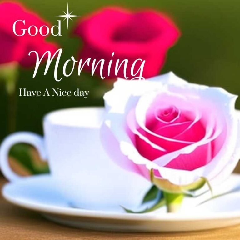 36+ Good Morning Elevate Your Sunrise Experience 4K Hd Images - Good ...