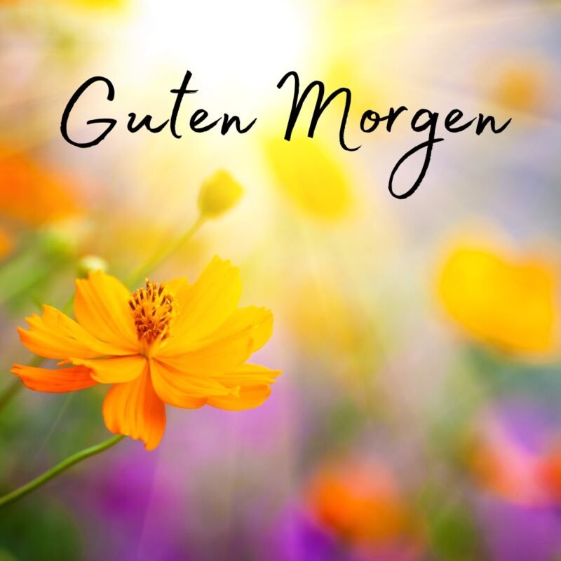 80+ Good Morning German Images & wishes - Good Morning Pictures