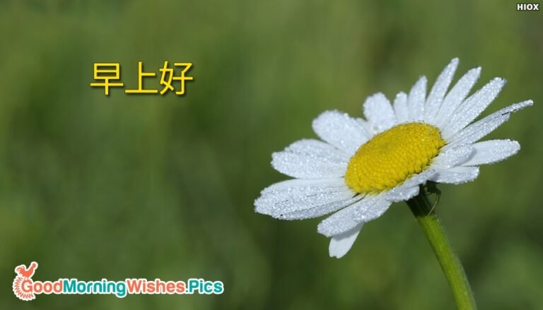 70+ Good Morning Chinese Images & Wishes - Good Morning Pictures
