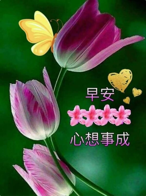 70+ Good Morning Chinese Images & Wishes - Good Morning Pictures