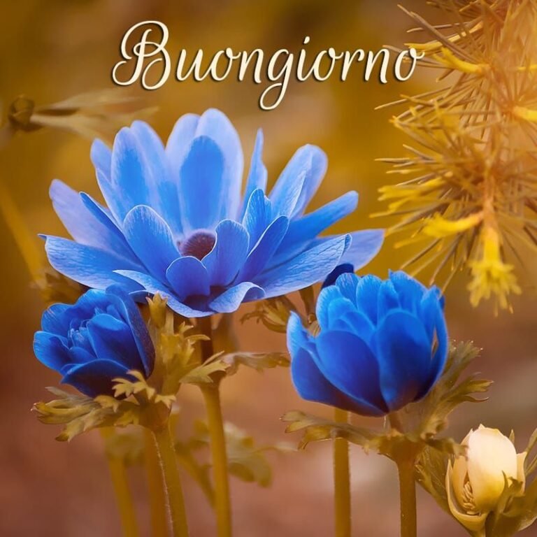 60+ Good Morning Italian Images & Wishes - Good Morning Pictures