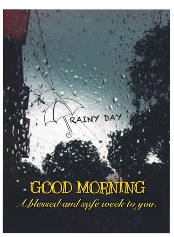 40+ Good Morning Rain Drops Images - Good Morning Pictures