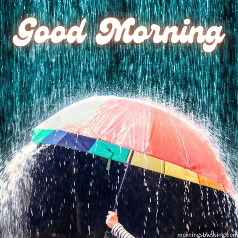 30+ Good Morning Rainy Images - Good Morning Pictures