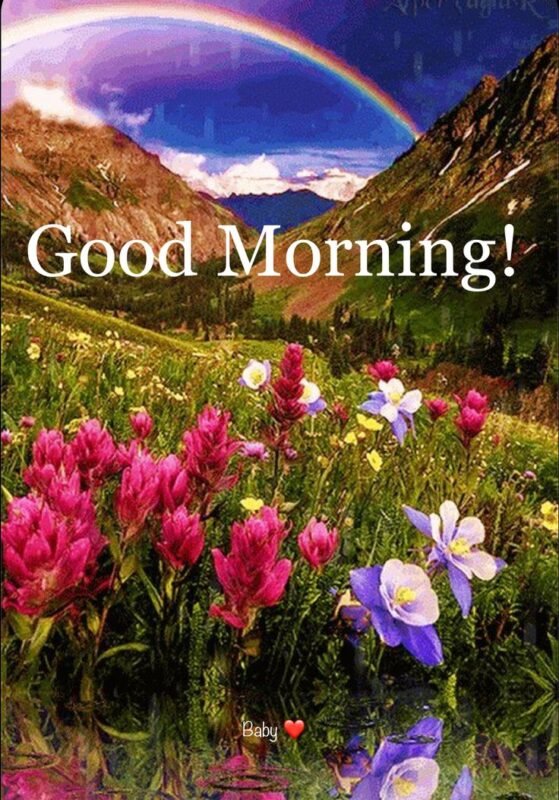 25+ Good Morning Rainbow Images - Good Morning Pictures