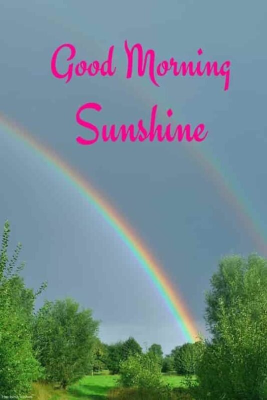 25+ Good Morning Rainbow Images - Good Morning Pictures