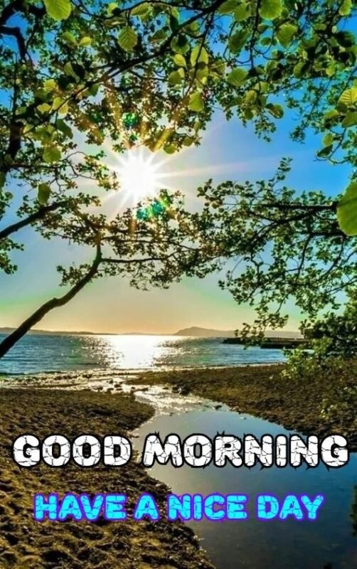 35+ Good Morning River Images - Good Morning Pictures