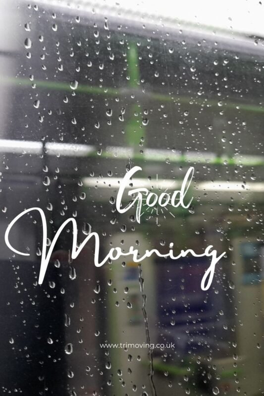 40+ Good Morning Rain Drops Images - Good Morning Pictures