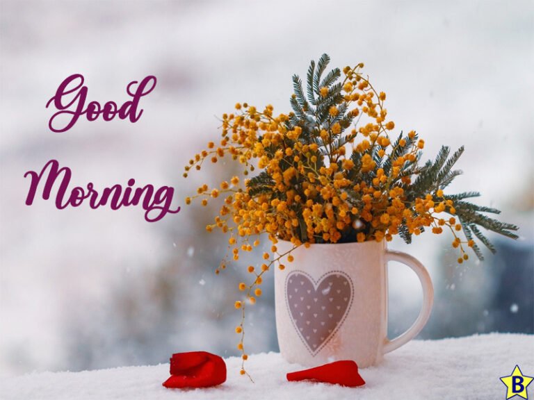 40+ Good Morning Winter Images - Good Morning Pictures