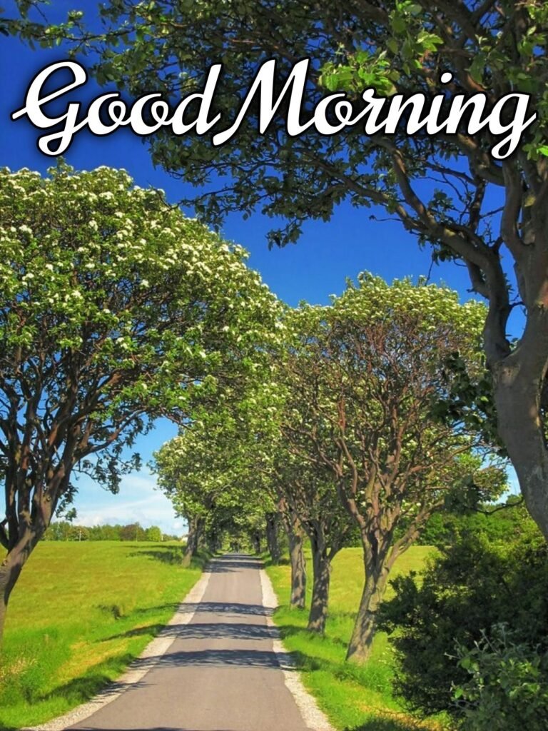 30+ Good Morning Scenery Images - Good Morning Pictures