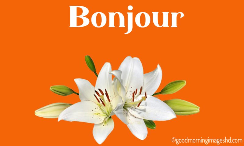 45+ Good Morning French Images - Good Morning Pictures
