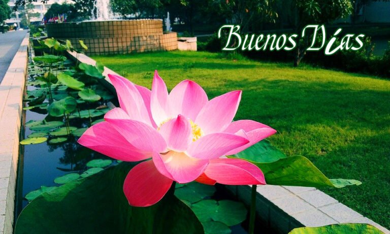 50+ Good Morning Spanish Images & Wishes - Good Morning Pictures
