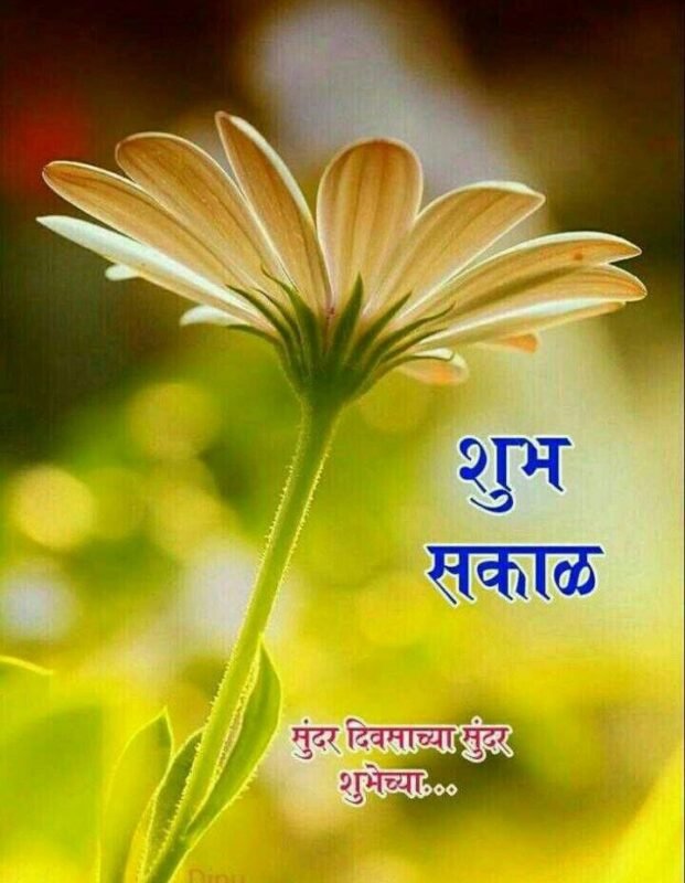 85+ Good Morning Marathi Images & Wishes - Good Morning Pictures