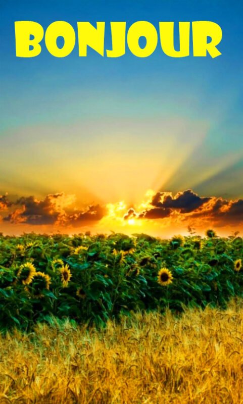 45+ Good Morning French Images - Good Morning Pictures