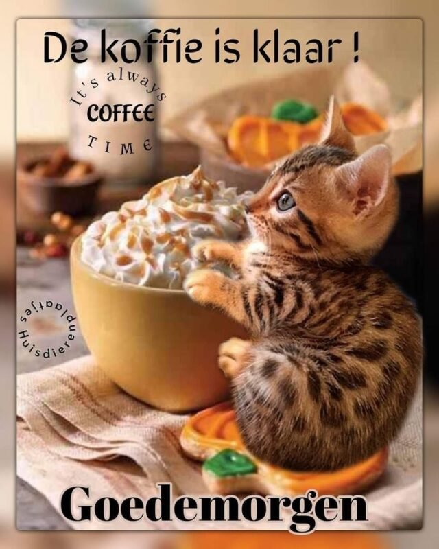 50+ Good Morning Dutch Images & Wishes - Good Morning Pictures