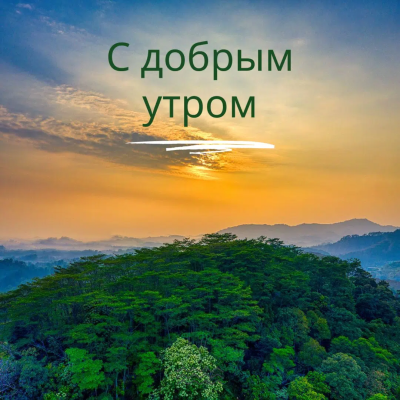 50+ Good Morning Russian Images & Wishes - Good Morning Pictures