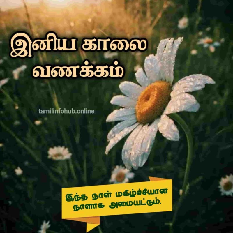 80+ Good Morning Tamil Images & Wishes - Good Morning Pictures