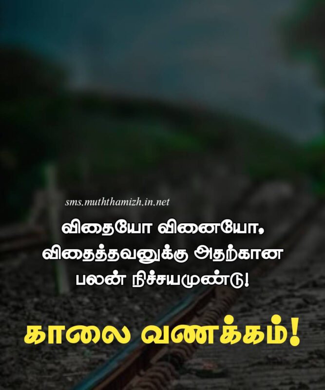 80+ Good Morning Tamil Images & Wishes - Good Morning Pictures