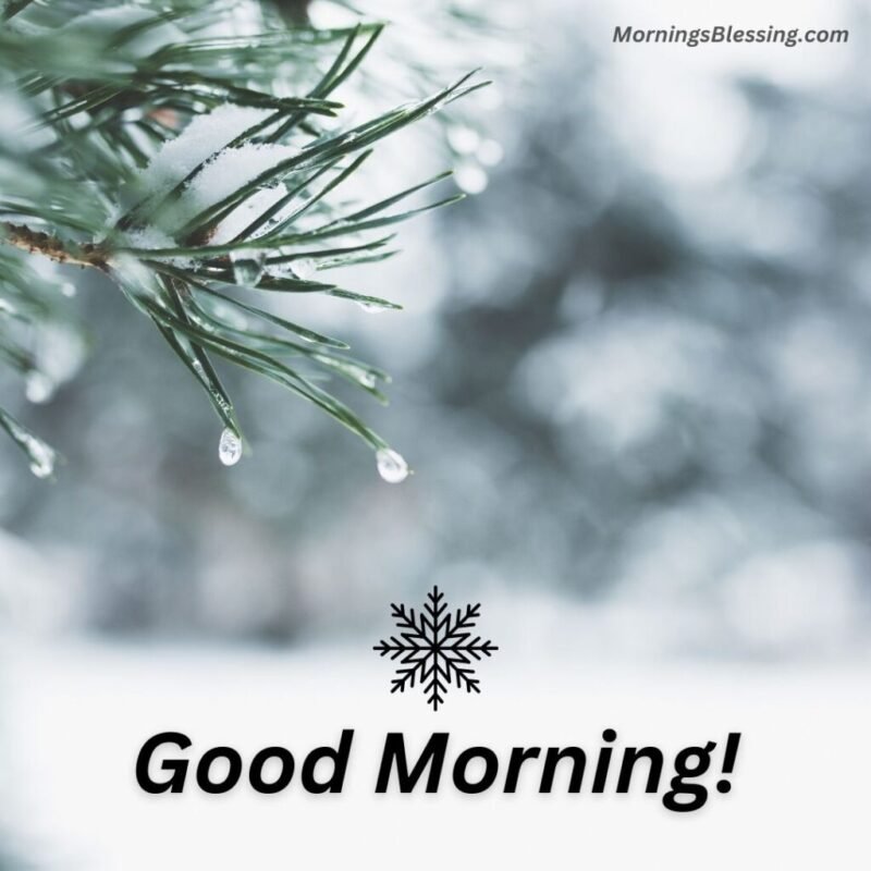 40+ Good Morning Winter Images - Good Morning Pictures