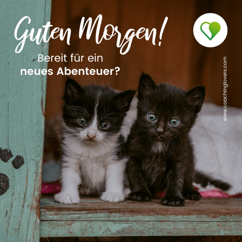 80+ Good Morning German Images & wishes - Good Morning Pictures