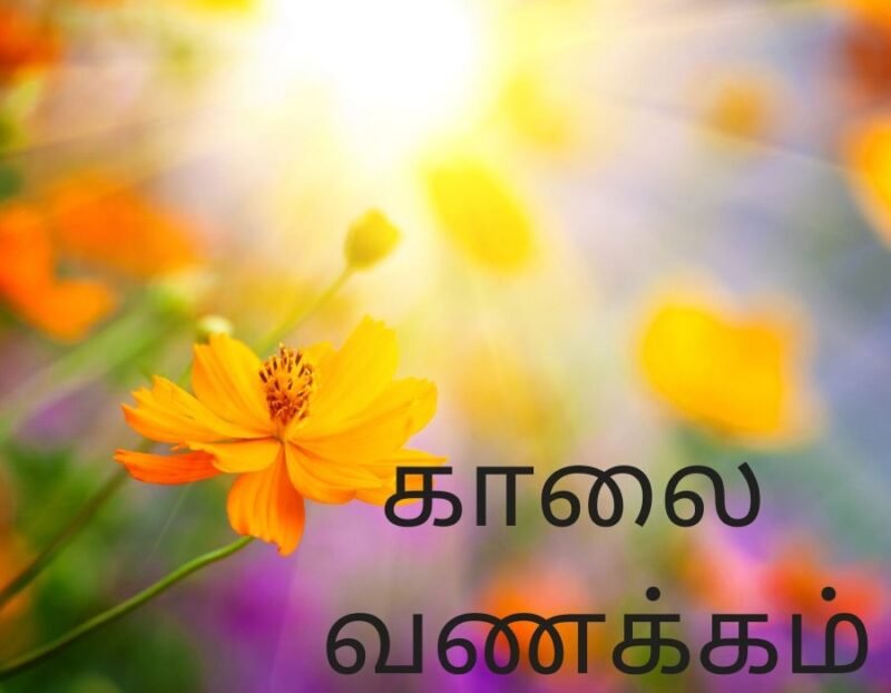 80+ Good Morning Tamil Images & Wishes - Good Morning Pictures